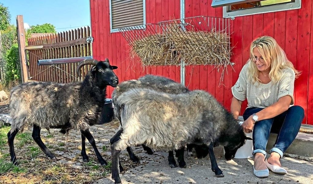 Startseite - Tierschufzhof Ering